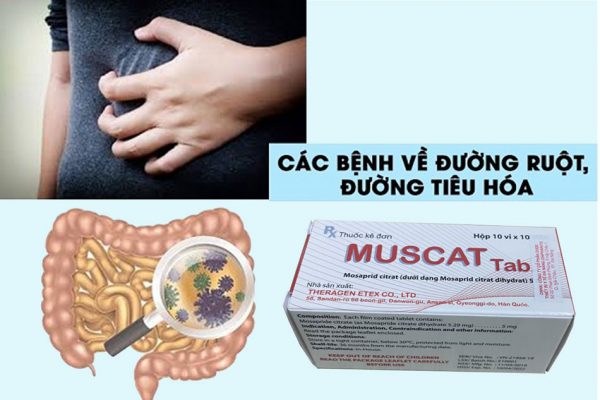 Thuốc Muscat Tab 5mg là thuốc gì? Thành phần, Công dụng, Liều dùng