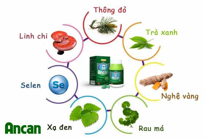 Sự thật Ancan có tốt không hay chỉ lừa đảo người bệnh u bướu? Giá bán